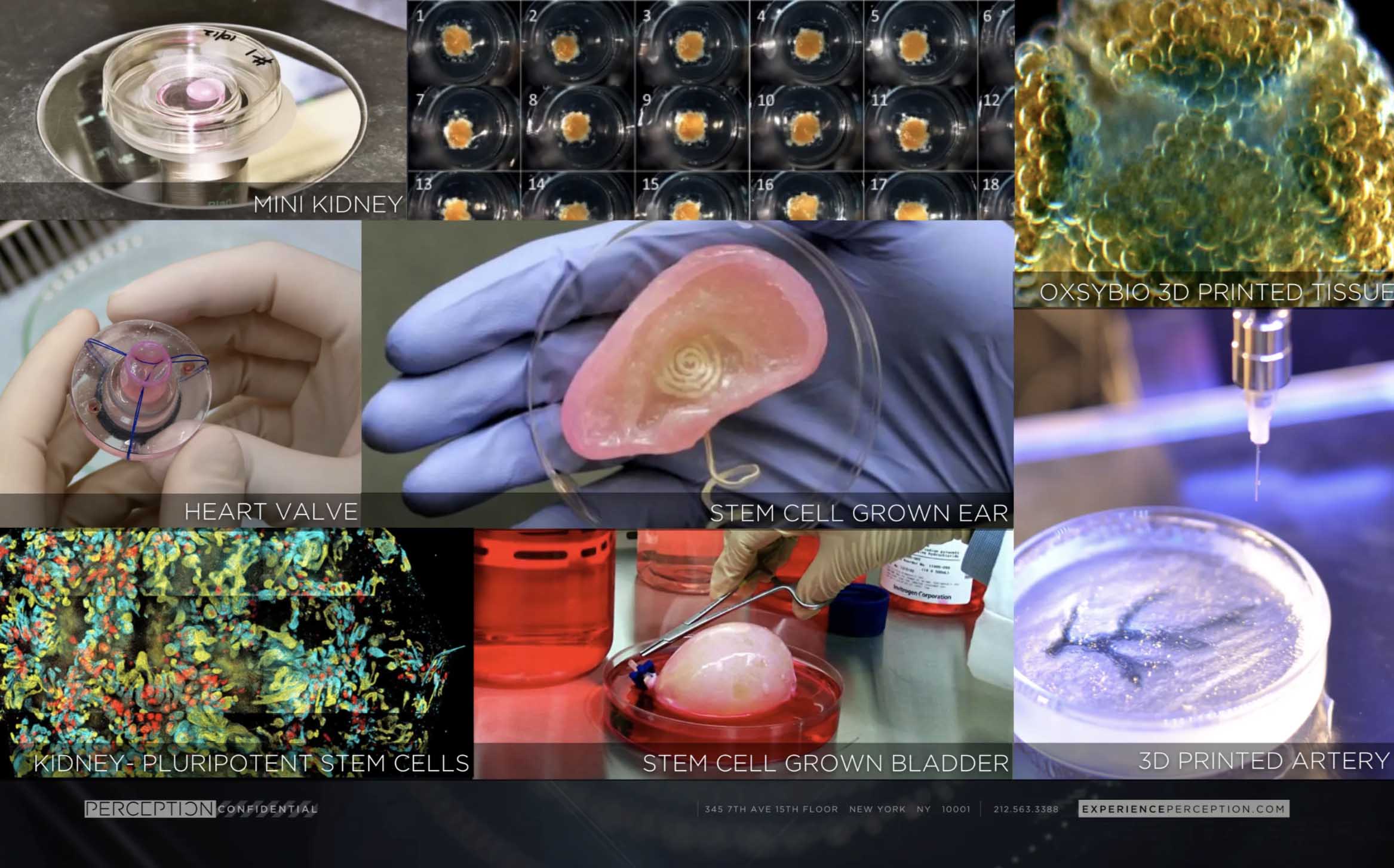 Science Fiction Becoming Science Fact: Medicine | PERCEPTION